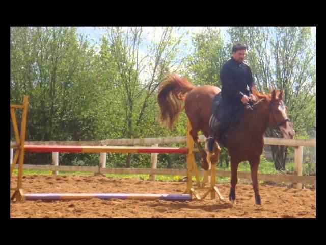 Этнические казачьи игры 2008 год