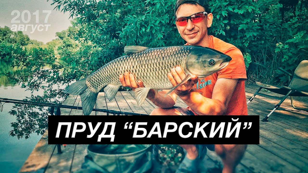 Пруд Барский (август 2017)