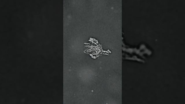 кола против фанты