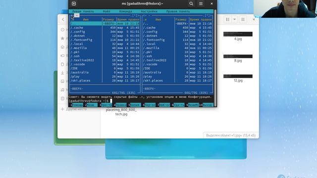 СозданиеОтчетаЛабораторнаяРабота5