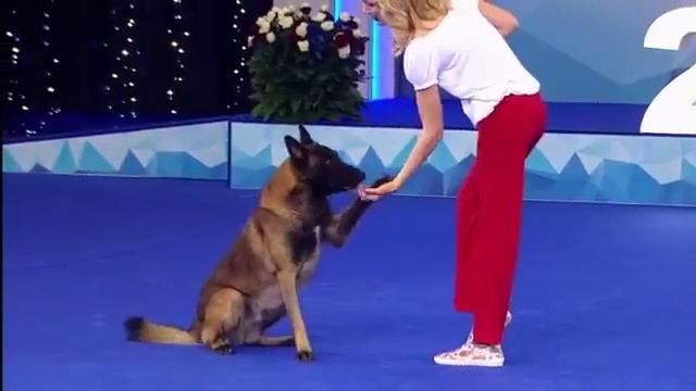 Ильина Полина и Сабур