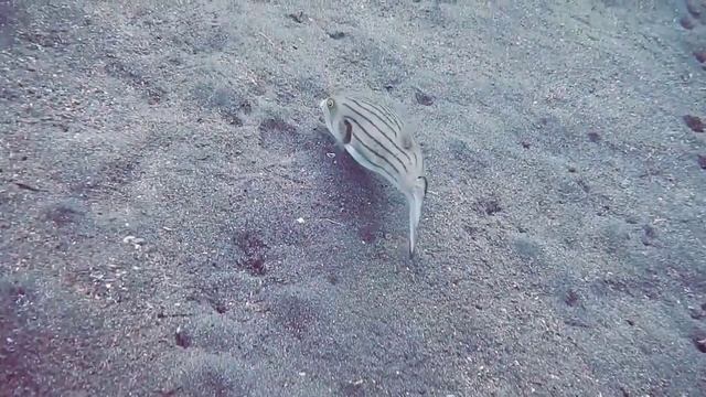 Что такое нищета и ее признаки