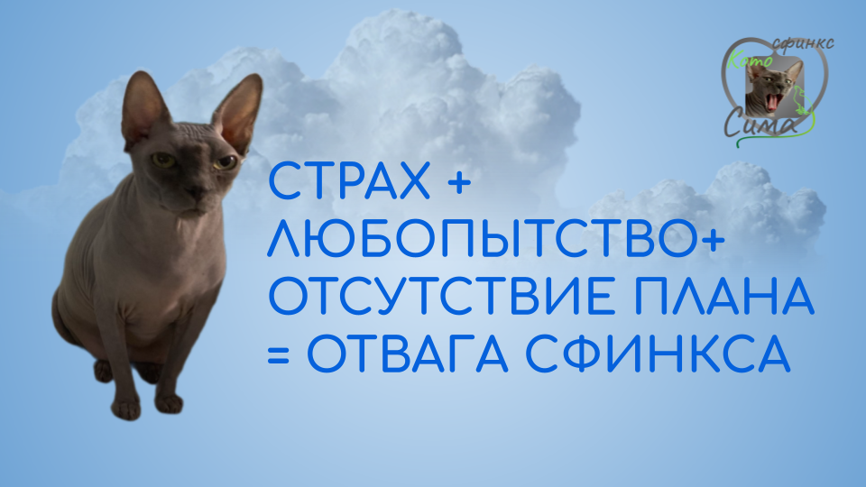 КОГДА НЕТ ПЛАНА...