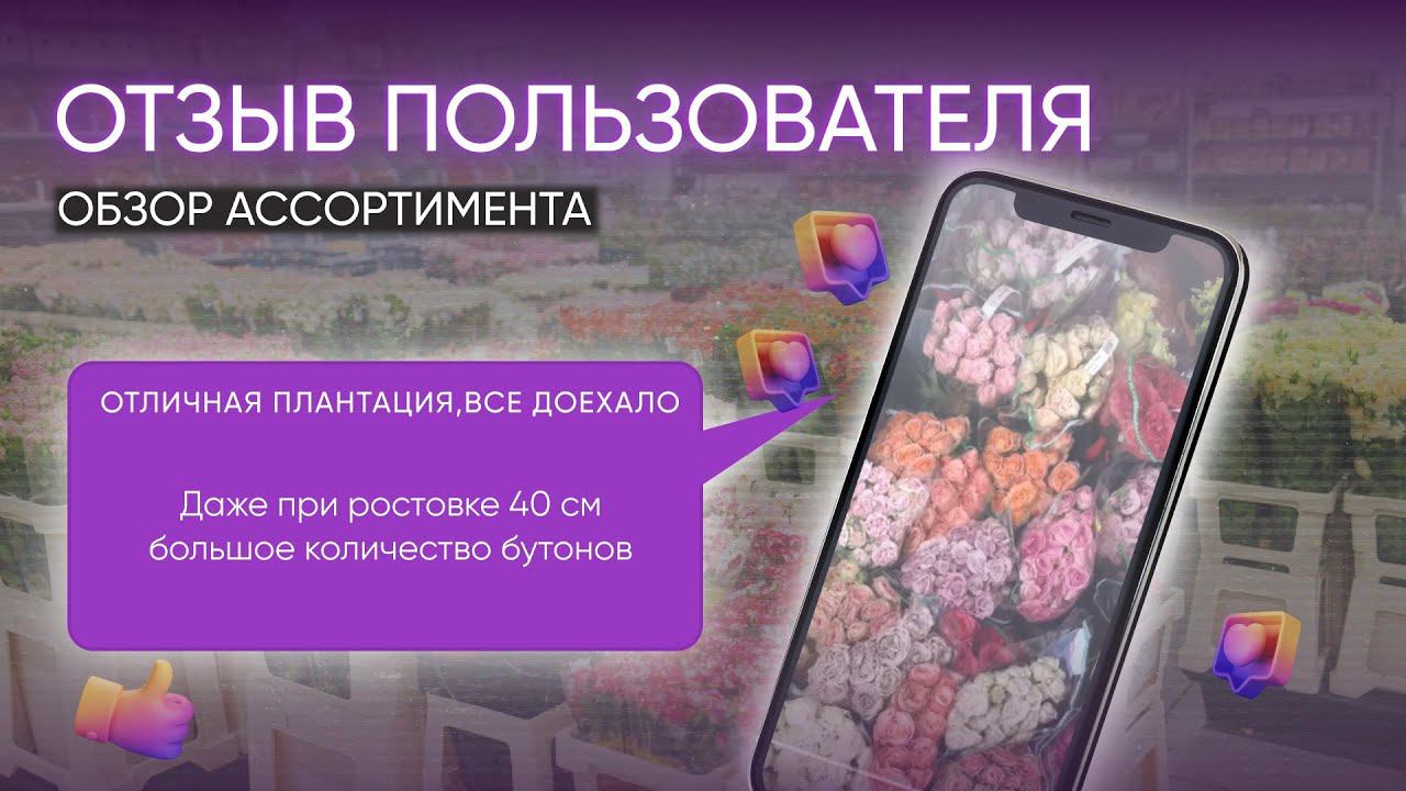 ОТЗЫВ о платформе M-FLOWERS от цветочной сети Донна Роза