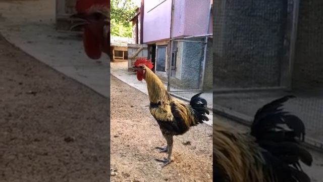 Потеря сознания