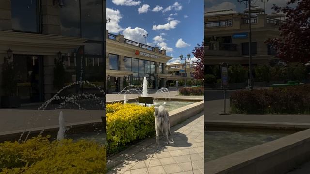 Эстет на прогулке