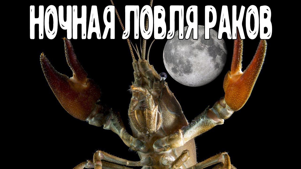 Ловля раков ночью с сачком.