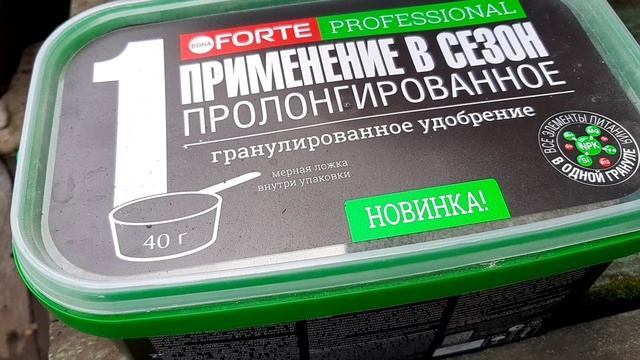 Петуния из семян Высаживаю на ПМЖ Как выглялит моя лобелия