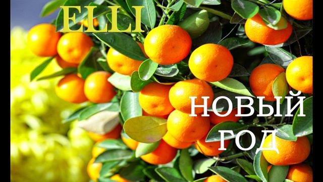 НОВЫЙ ГОД. ELLI автор-исполнитель.