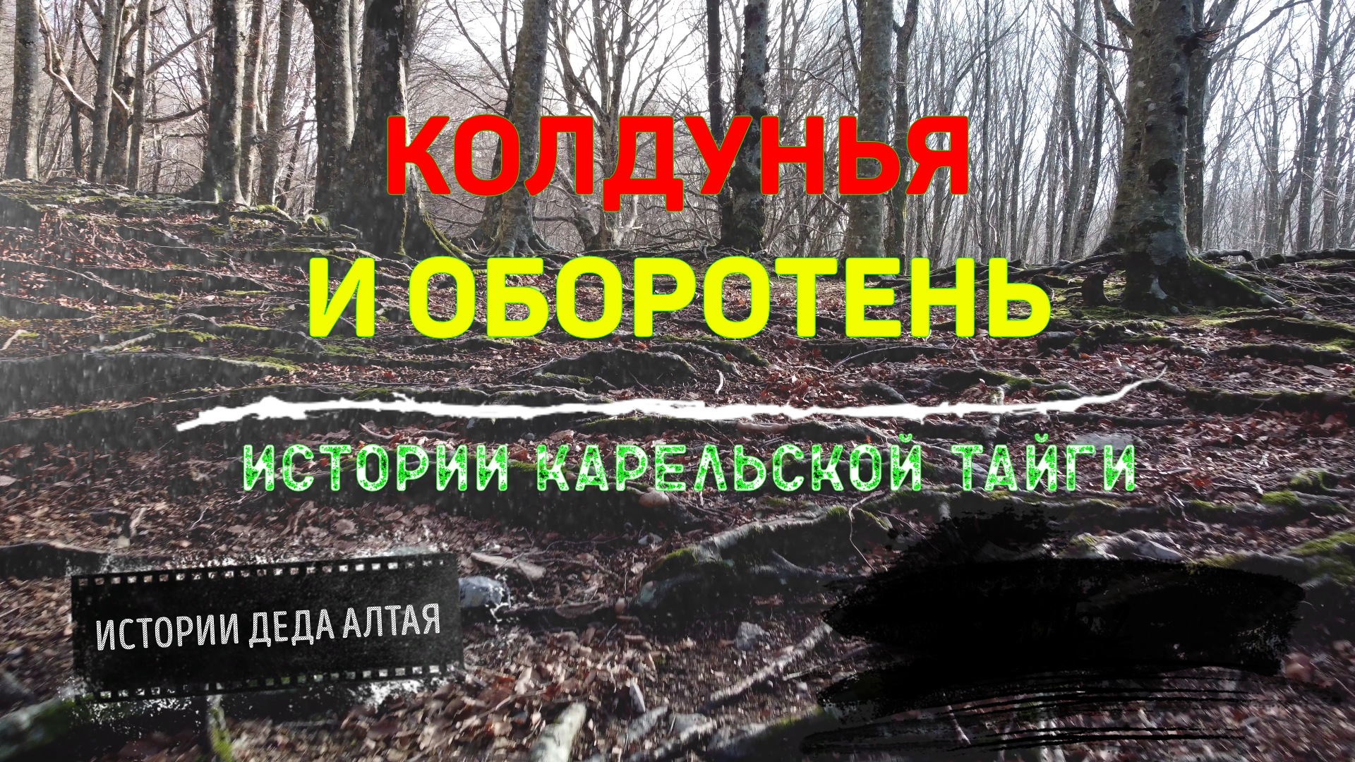 КОЛДУНЬЯ И ОБОРОТЕНЬ | ИСТОРИЯ КАРЕЛЬСКОЙ ТАЙГИ | ТАЕЖНЫЕ ИСТОРИИ