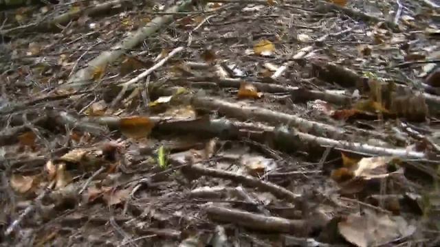 Слой белых пошёл фильм 1 2017