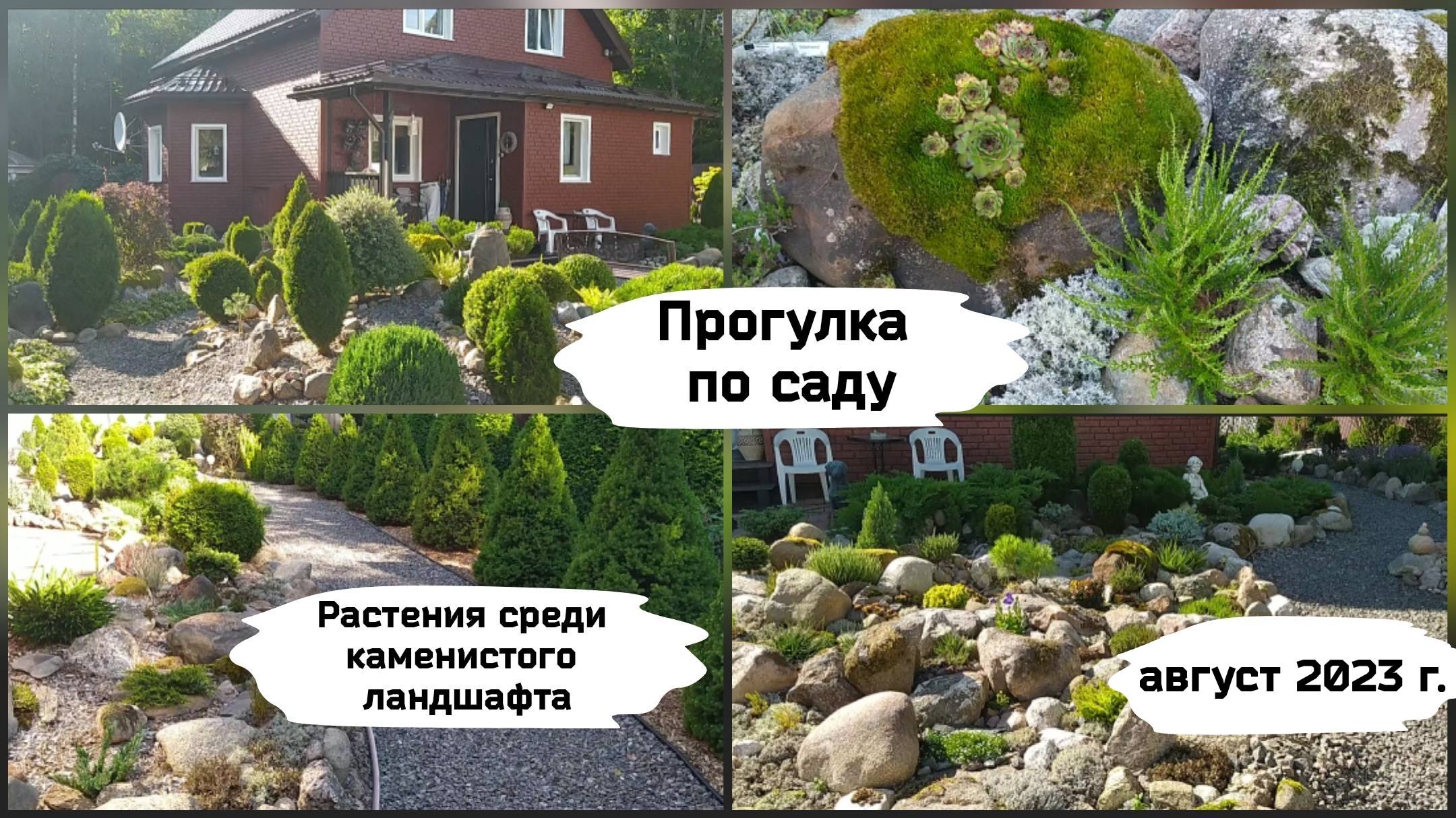 Прогулка по саду ( 8 августа 2023 г.)