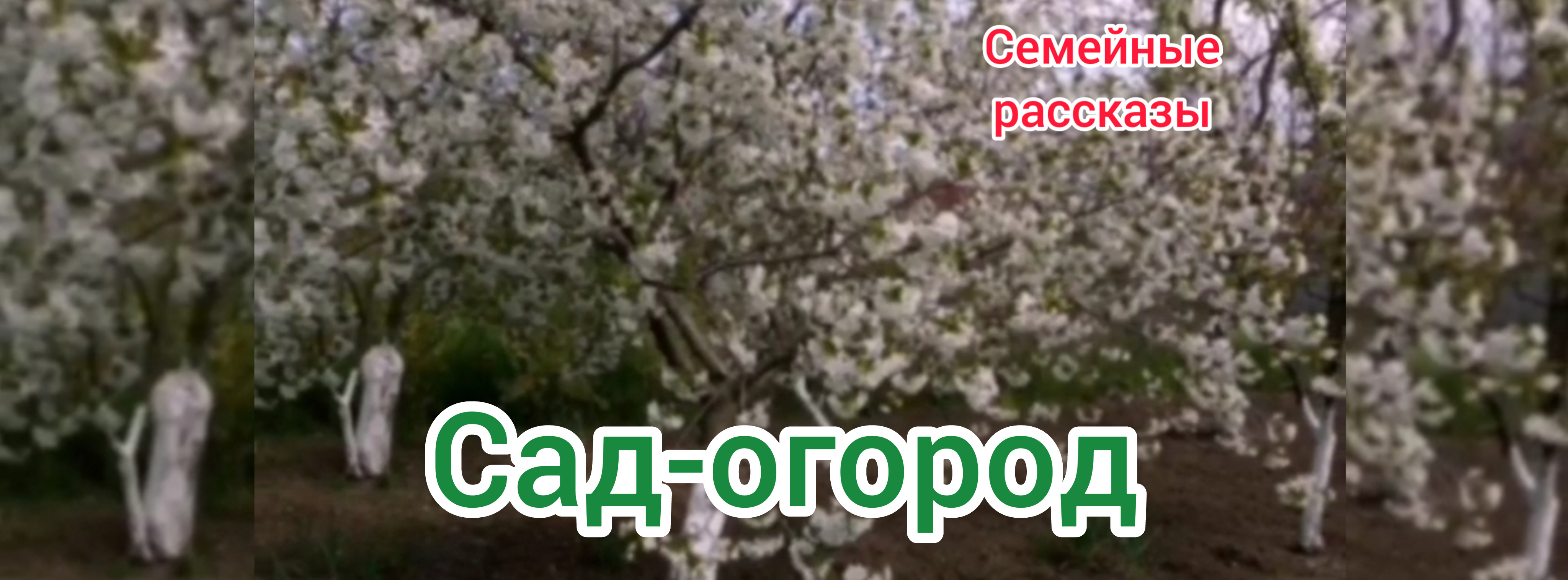 Сад-огород.