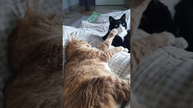 утро оно такое.mp4