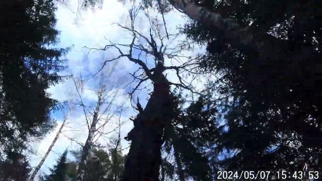 Начало проекта. Уют под землёй - дом в дикой тайге