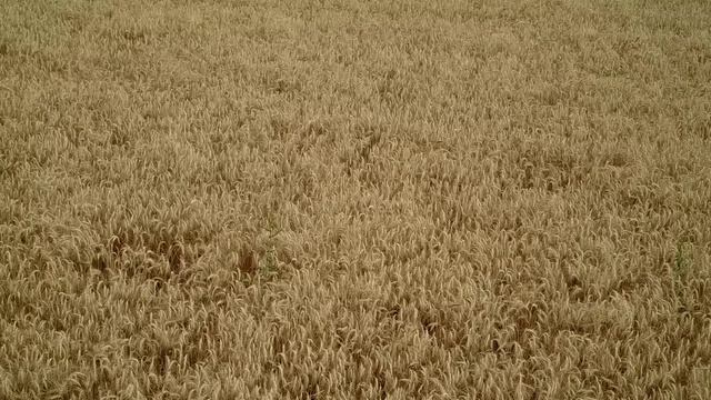 Добро пожаловать в Зуевский Региональный Ландшафтный Парк