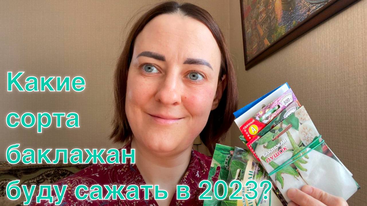 Какие сорта баклажан буду сеять в 2023 году? Обзор