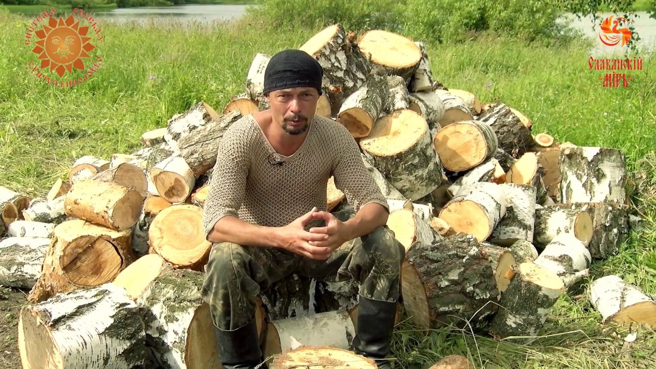 О Русской Ладной Бане Сергей Демин