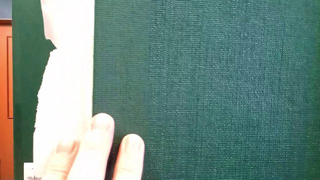 Разошлись стыки обоев ! Нашла выход , исправила !