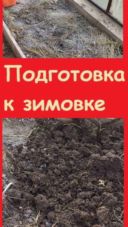 Как подготовить почву в теплице к зиме, не затрачивая денег, но уничтожая инфекцию в земле?