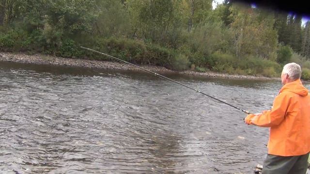 7 Серия Ловится по 2 Рыбы Сразу Удочка Поплавок Тайга Алтайская Балда Перекат Федоровича Сухой Пит