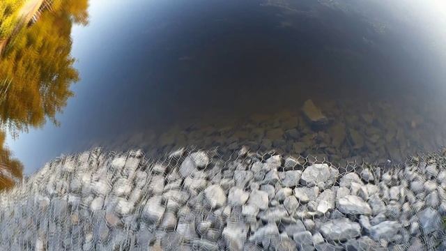 Нахлыст. Головинские пруды