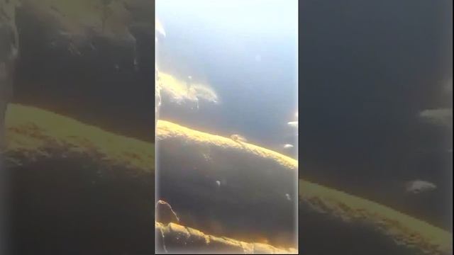 Мой дачный пруд  #дачныйпартизан