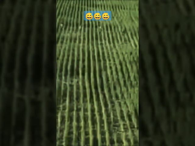 попросила закурить