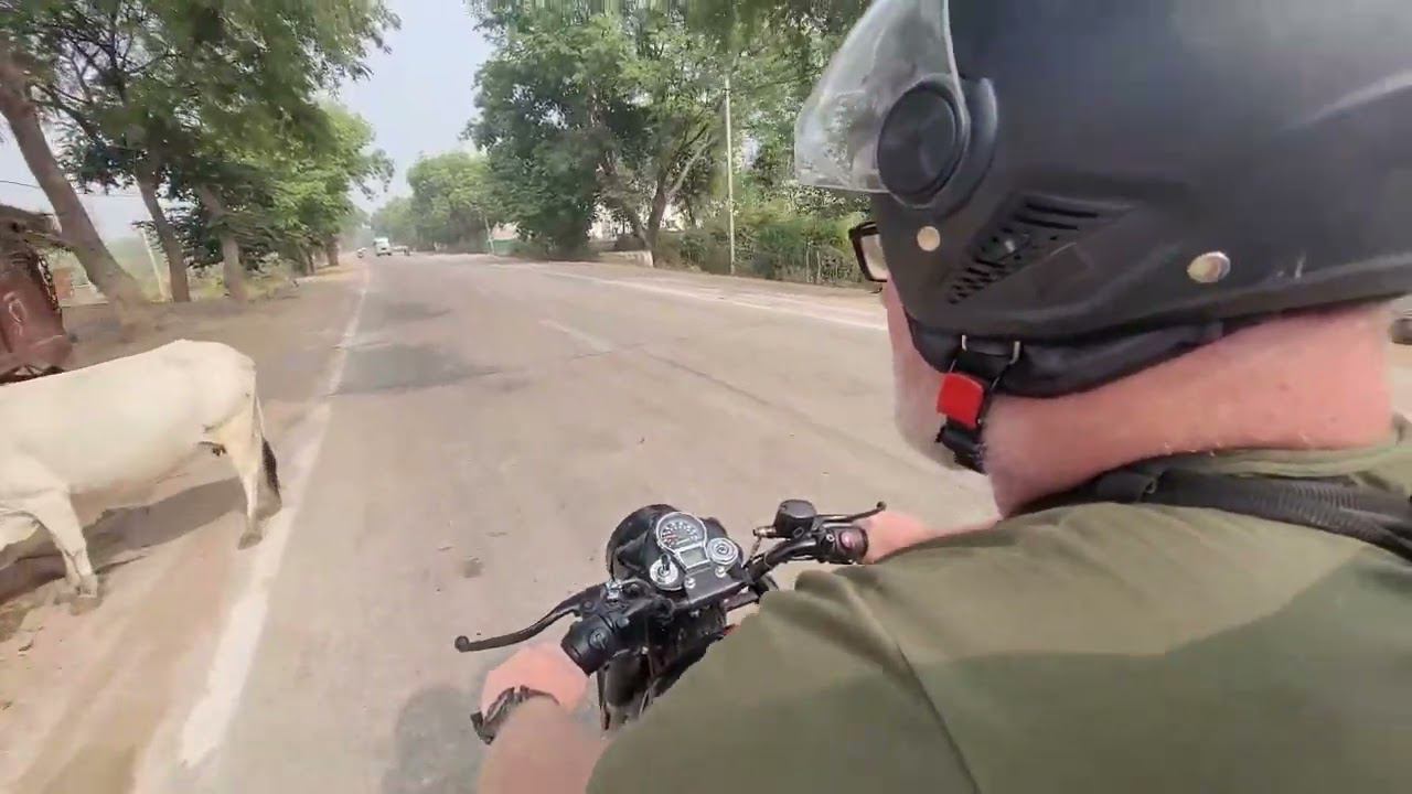 Индия-2023. Кхаджурахо. На мотоцикле в заповедник-2