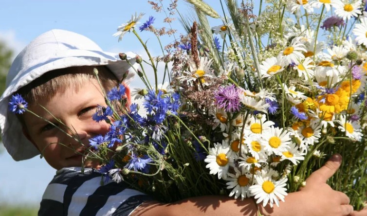 Детство. Стихи. Автор текста Вадим Шефнер.