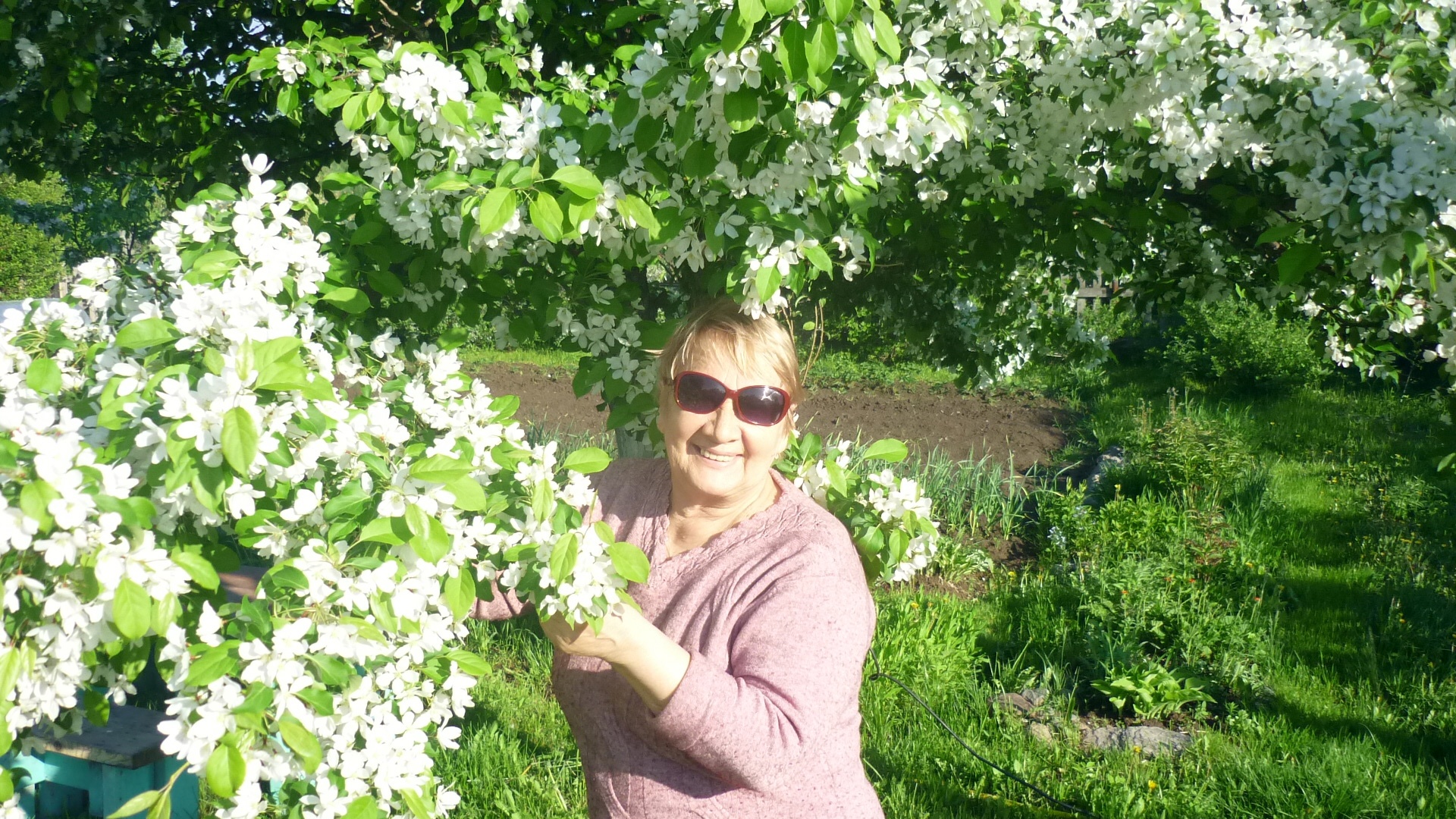 "ПОД ОКНОМ ЧЕРЁМУХА"... (Фото Ольги РЕПИЩНОЙ (Архангельск), музыка - Ансамбль "ХМЕЛЬ")