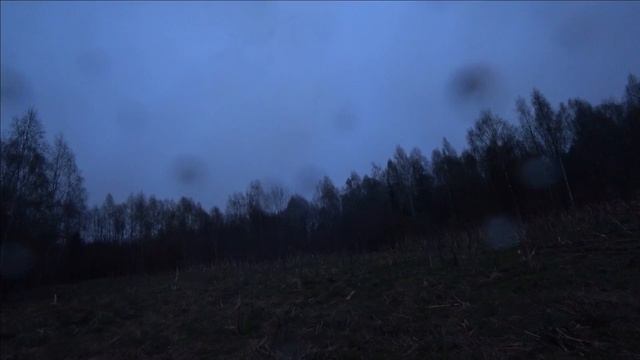 Весенняя охота на вальдшнепа. Сезон 2024 г