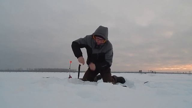 Наконец то долгожданный судак