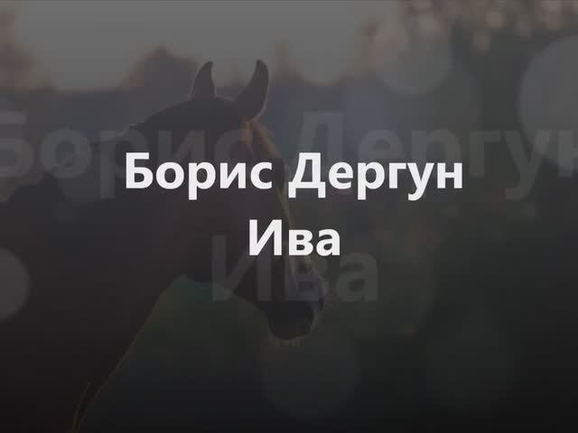 Борис Дергун Ива