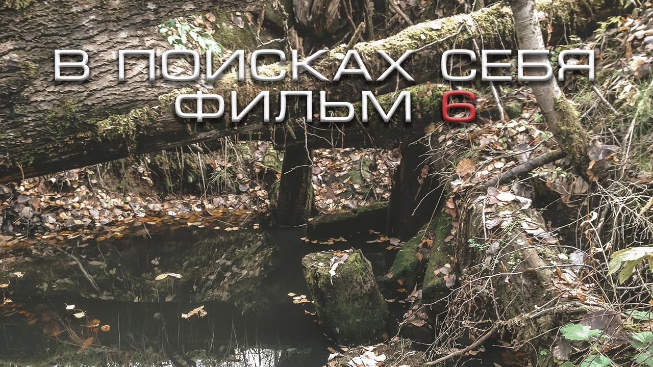 В Поисках Себя. Фильм №6. Осень 2016 | ЕЕ88.mp4