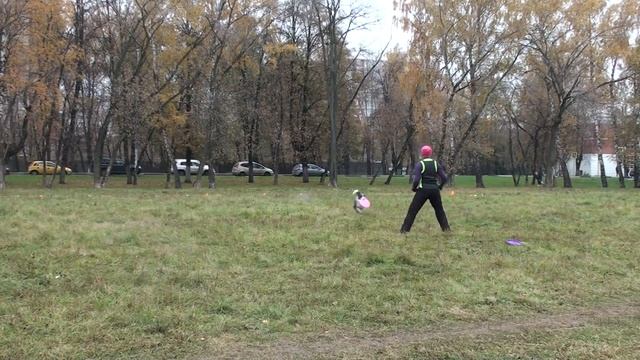 Ф.Фристайл  Ольга и Финик.mp4