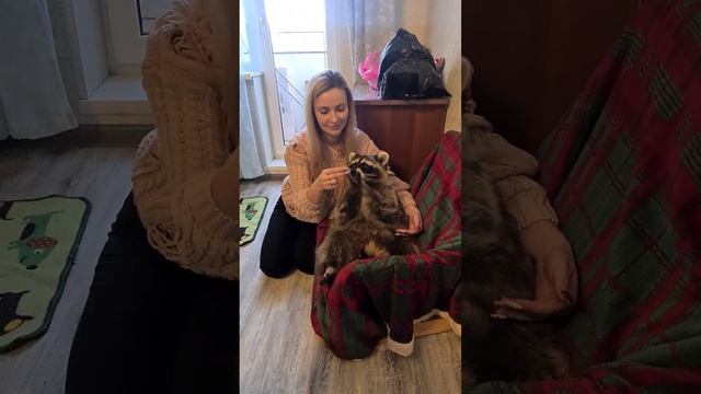 енотик Витя кушает орешки #shorts