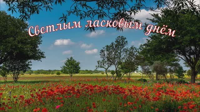 Светлым ласковым днём, Лариса Мерзлякова - муз., Любовь Чернышова -стихи, монтаж, Александр Гами исп