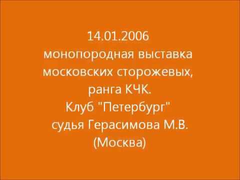 Монопородная выставка московских сторожевых, ранга КЧК. 14.01.2006