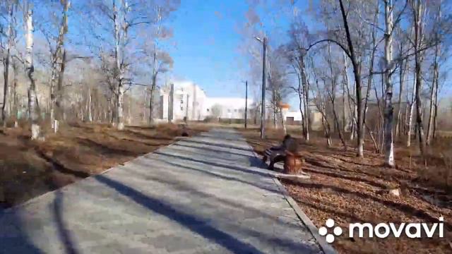 Цены на продукты. Снег, солнце, цветущие деревья..mp4