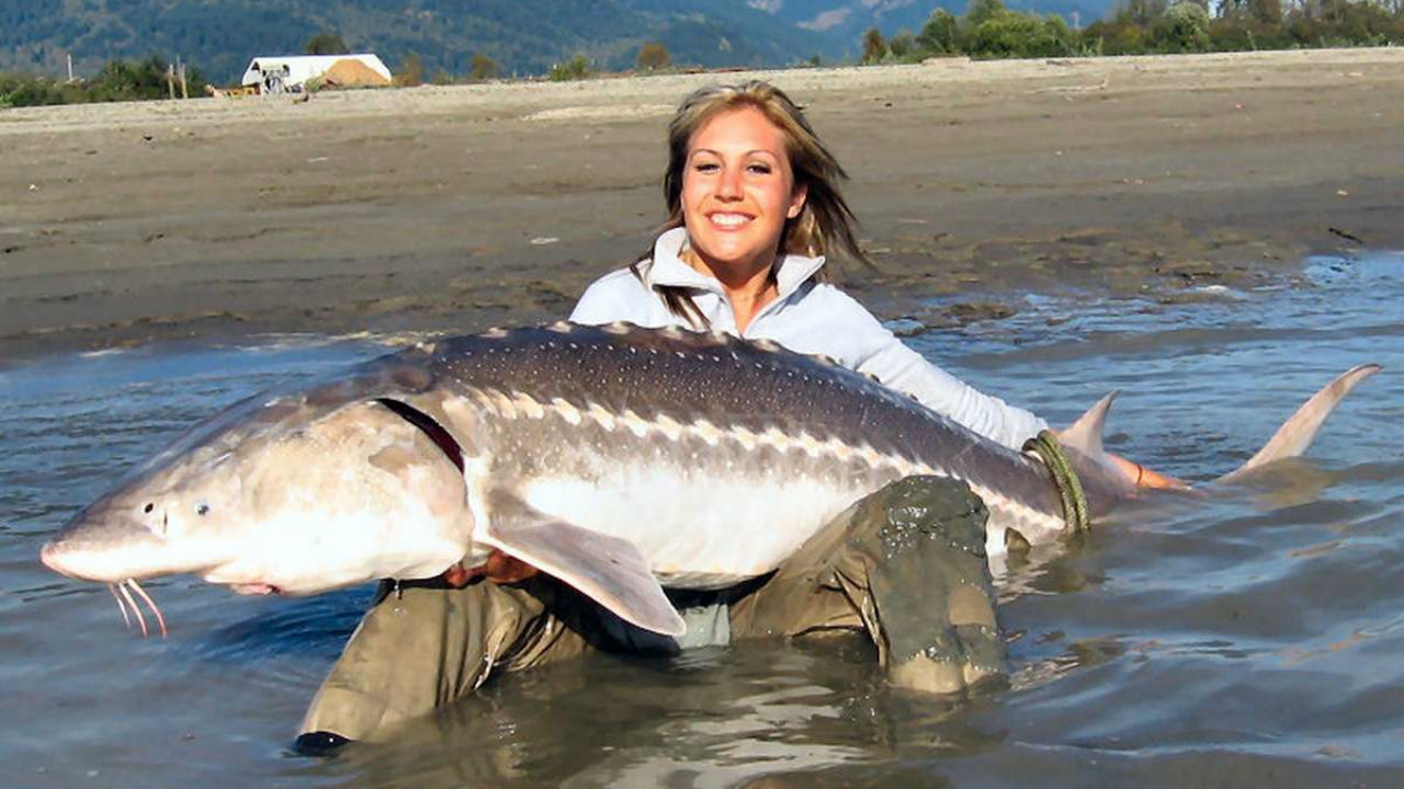 К чему снится Рыбалка