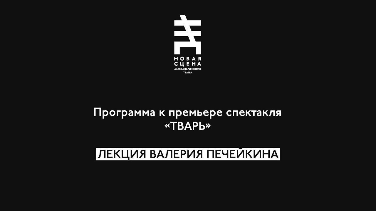 Мелочь, а бесит: поможет ли психотерапевт героям Сологуба? Лекция Валерия Печейкина