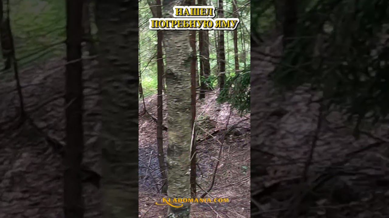 НАШЕЛ ПОГРЕБНУЮ ЯМУ. XP DEUS 2. КЛАДОМАНИЯ #shorts