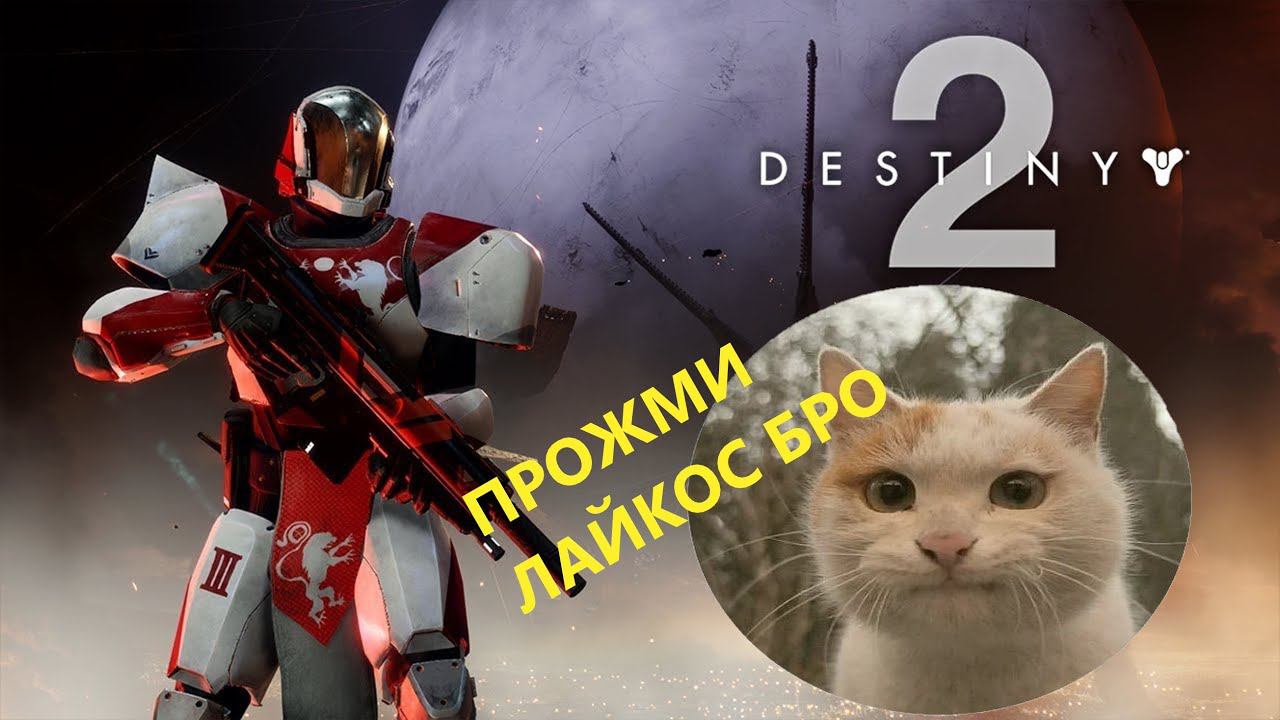Destiny 2 / online/ Стрим/ Стримерша/ Девушка стримит/ Срочно/ Прямой эфир