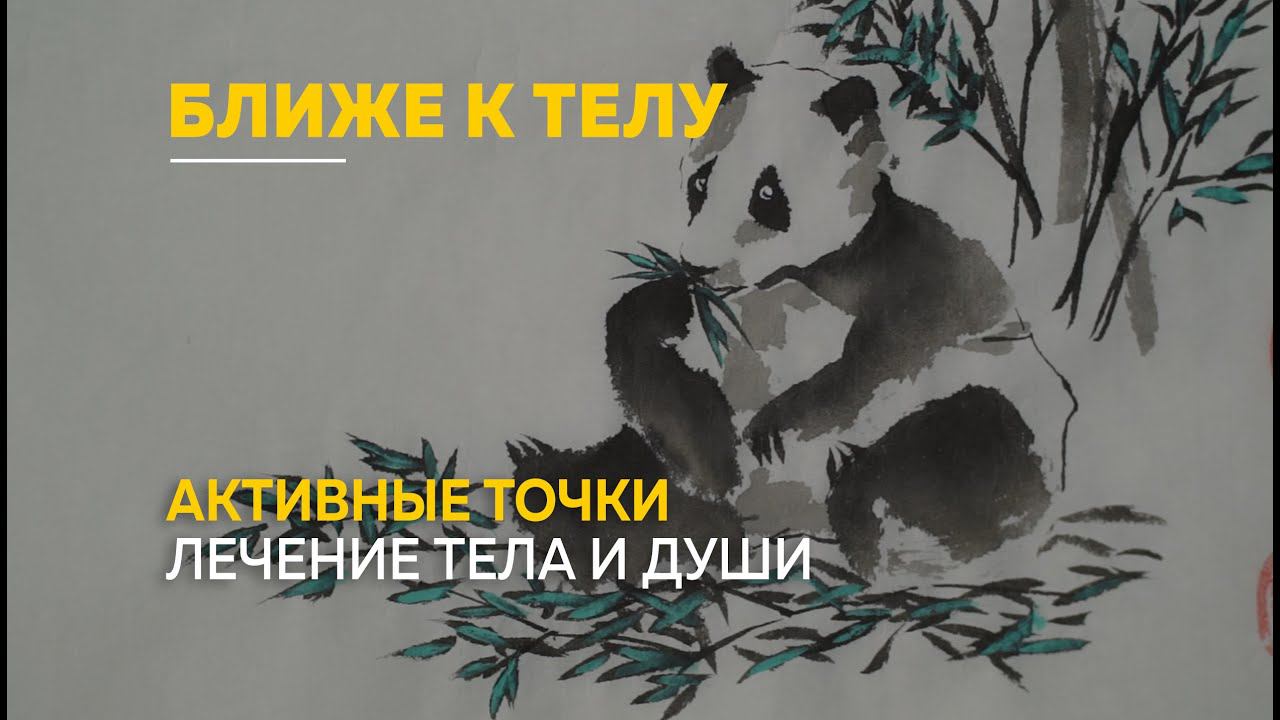 Биологически активные точки | Ближе к телу