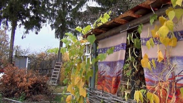 Покупаем много саженцев. Закладка сада будущего, а если проще посадка саженцев.