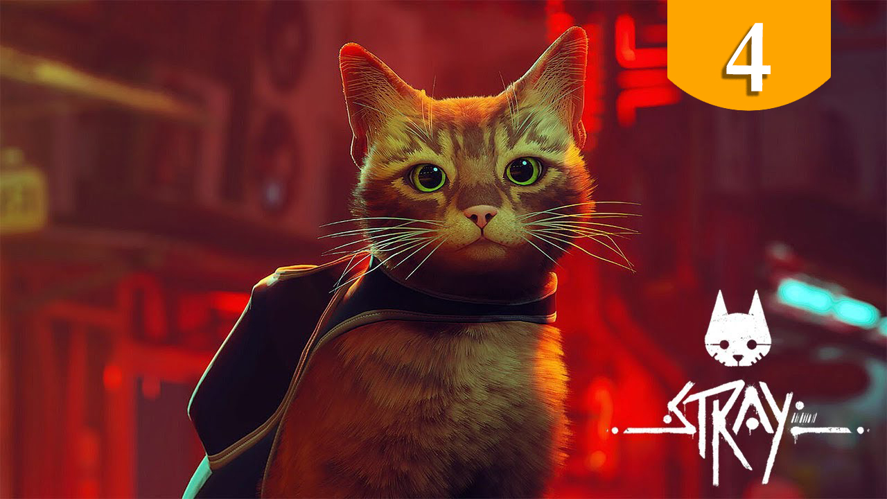 Шеймус ➤ Stray ➤ Прохождение #4