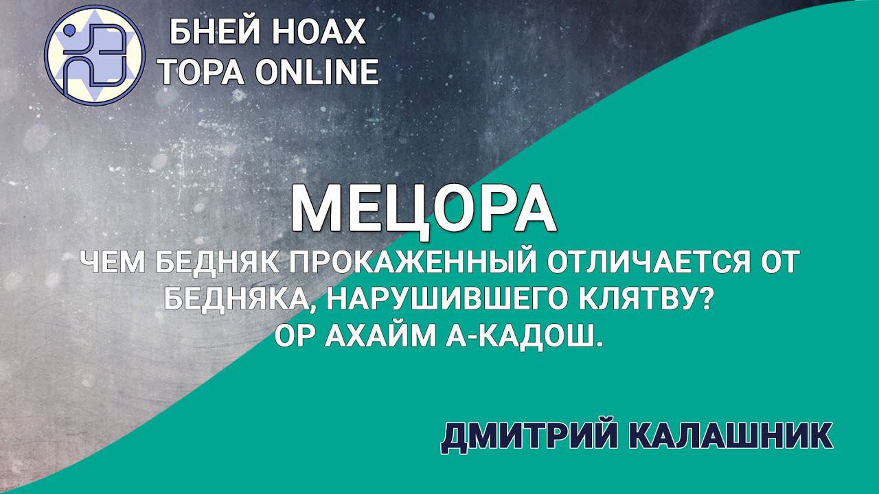 Чем бедняк прокаженный отличается от бедняка, нарушившего клятву?  Ор аХайм. Недельная глава Мецора