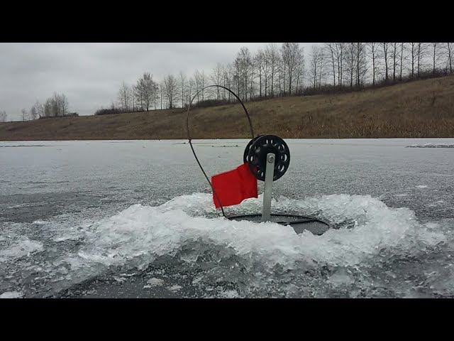 Ловля щуки на жерлицу.