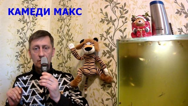 SHORT - СВАДЬБА, ТАМАДА И НЕВЕСТА - Comedy Max - АНЕКДОТЫ, ПРИКОЛЫ, ЮМОР, ПОЗИТИВ